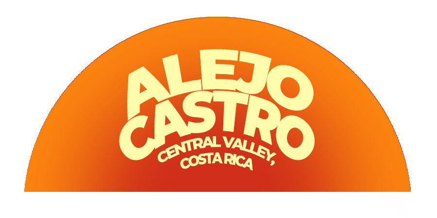 Regard Coffee Roasters